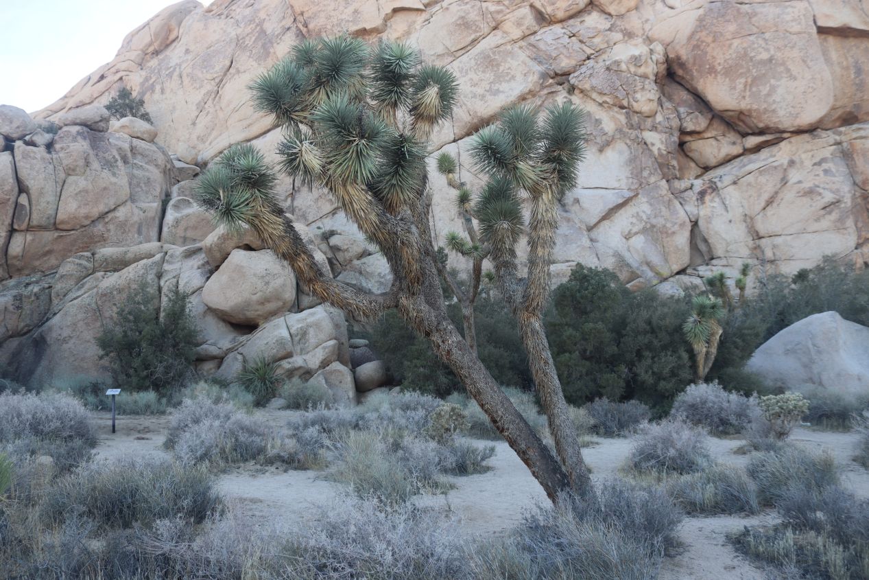 Click to enlarge map.